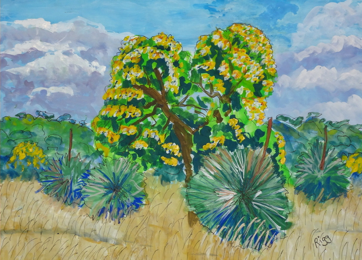 What's On - Mandurah Performing Arts and Events Centre